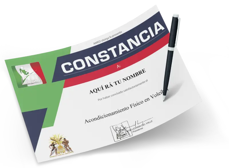 GPT de Voleibol – AMEDWEB